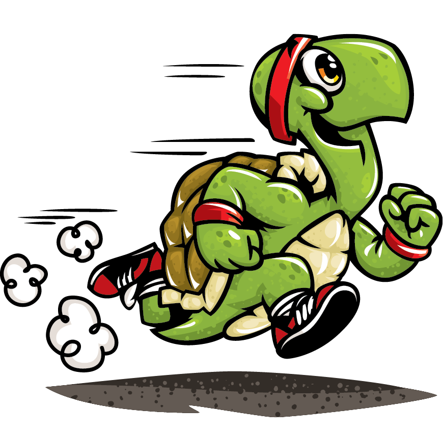 Turtle Tortoise Clip Art Turtle Png Image And Clipart Cartoons Png